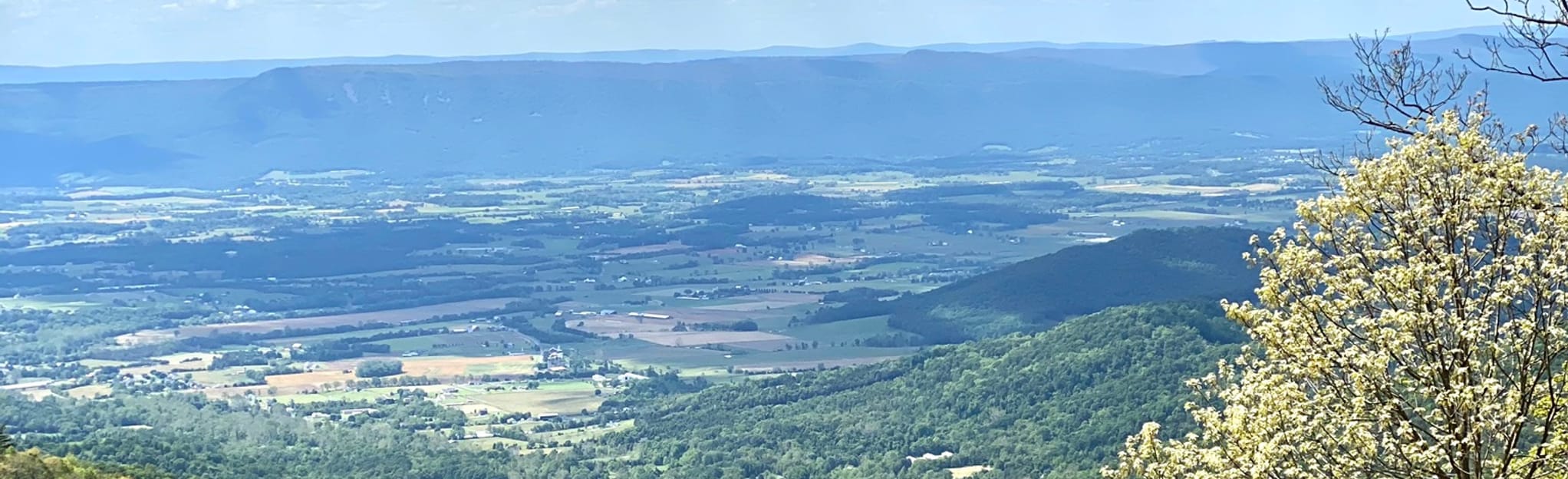 Rose River Trail: 3639 Reviews, Map - Virginia | AllTrails