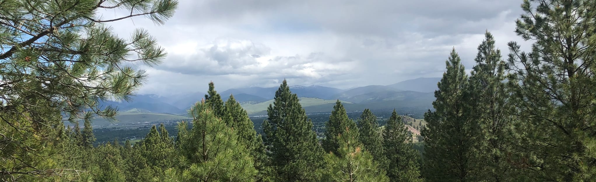 Blue Mountain Lookout Deadman Ridge Trail: 534 Reviews, Map - Montana ...
