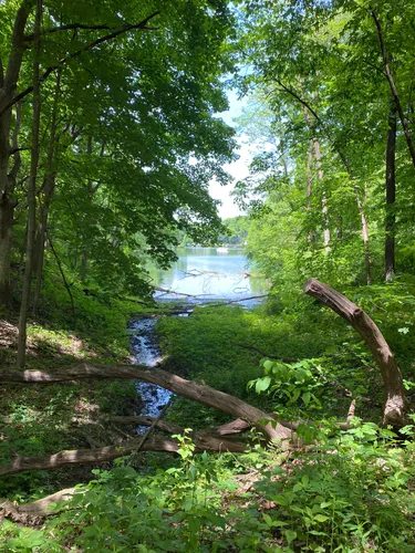 10 Best Waterfall Trails in Iowa | AllTrails