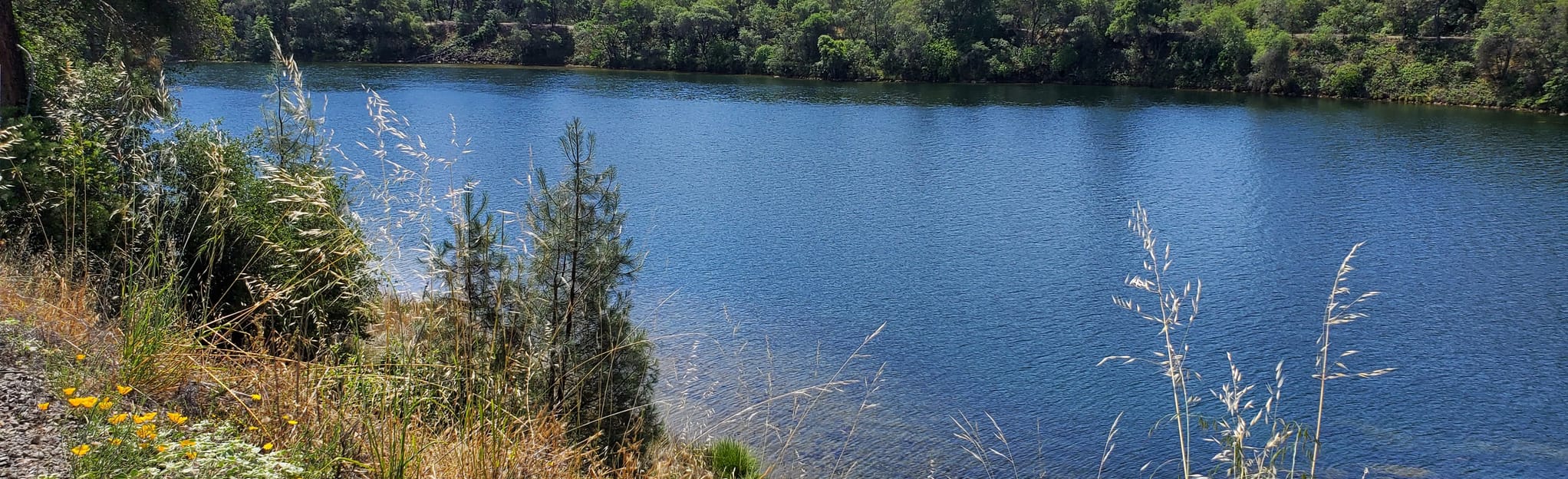 Thermalito Diversion Pool Trail, California - 37 Reviews, Map | AllTrails