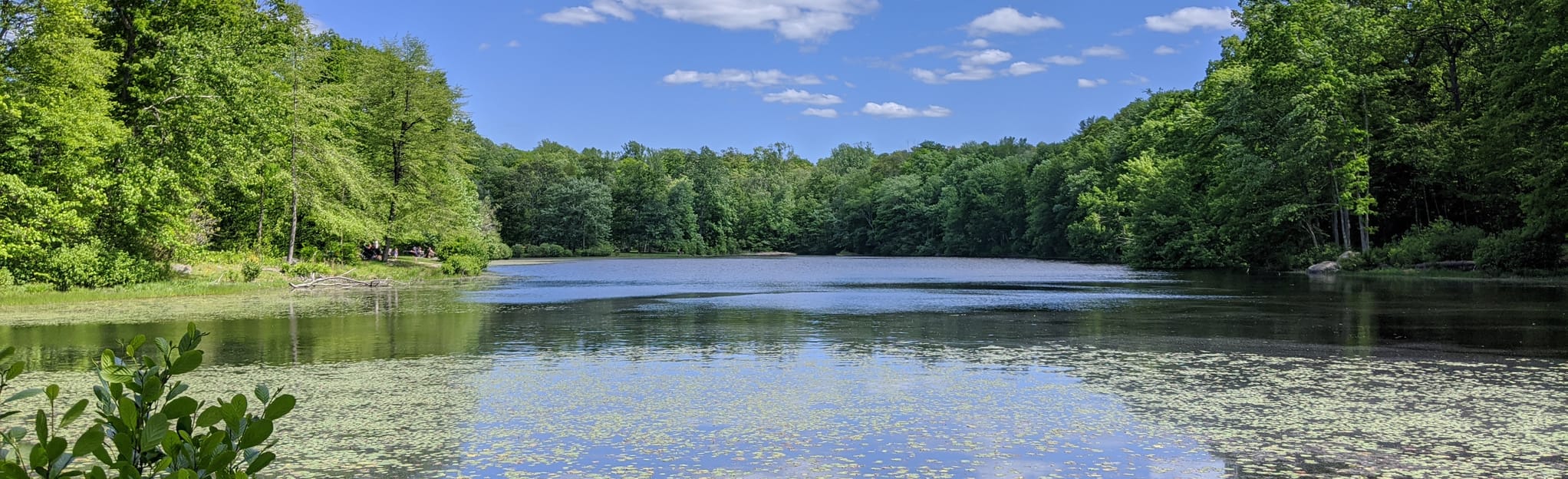 Day Pond North Loop: 367 Reviews, Map - Connecticut | AllTrails