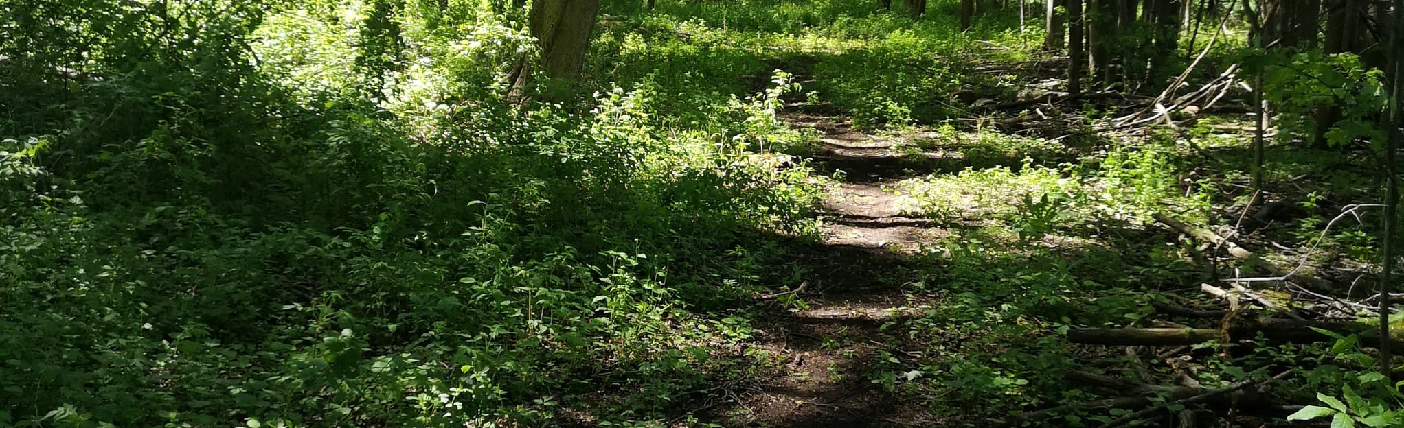 Avon Trail: RR 104 to Wilmot-Easthope Road, Ontario, Canada - 13 ...