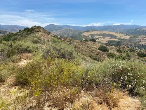 Best Hikes and Trails in Ladera Ranch | AllTrails