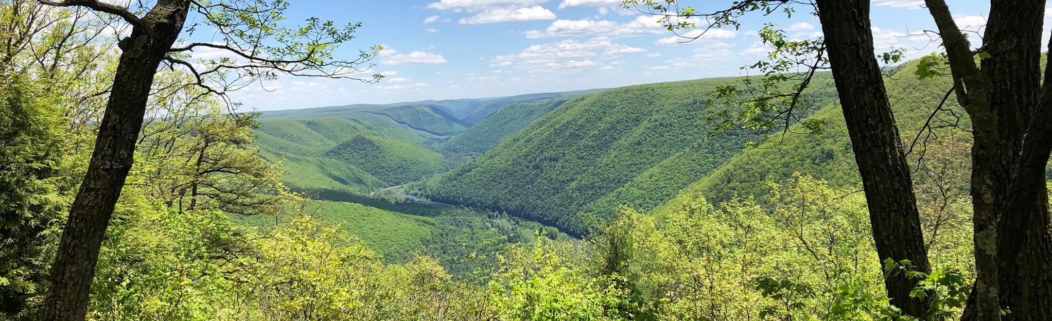 Navel Run and Black Forest Trail Loop, Pennsylvania - 50 Reviews, Map ...