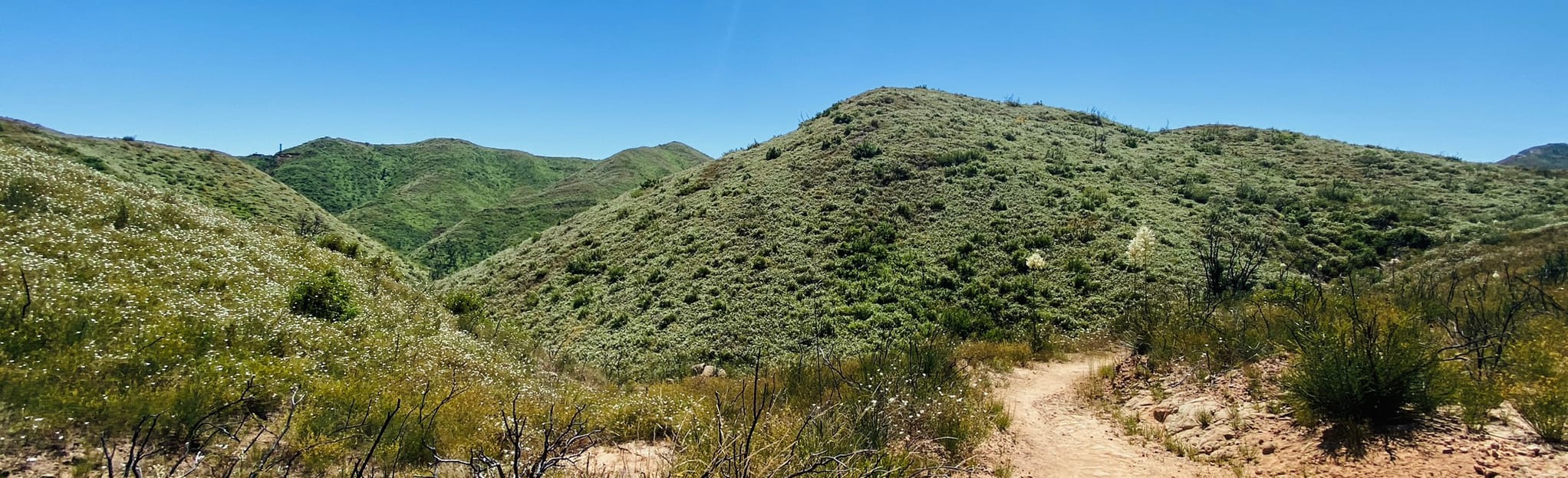Backbone Trail: Corral Canyon to Latigo Canyon | Map, Guide ...