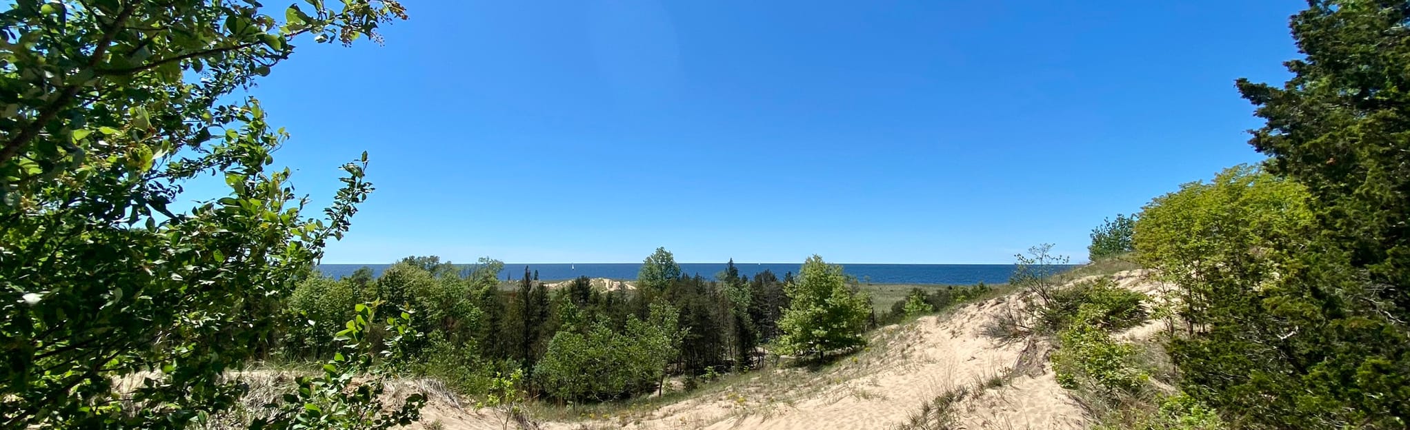 Saugatuck Dunes Outer Loop, Michigan - 206 Reviews, Map | AllTrails