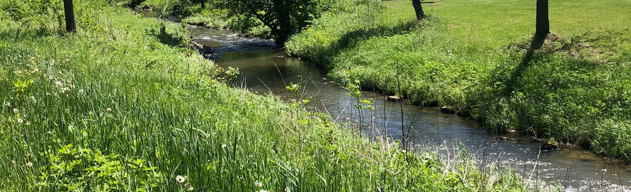 Elroy-Sparta State Trail, Wisconsin - 213 Reviews, Map | AllTrails