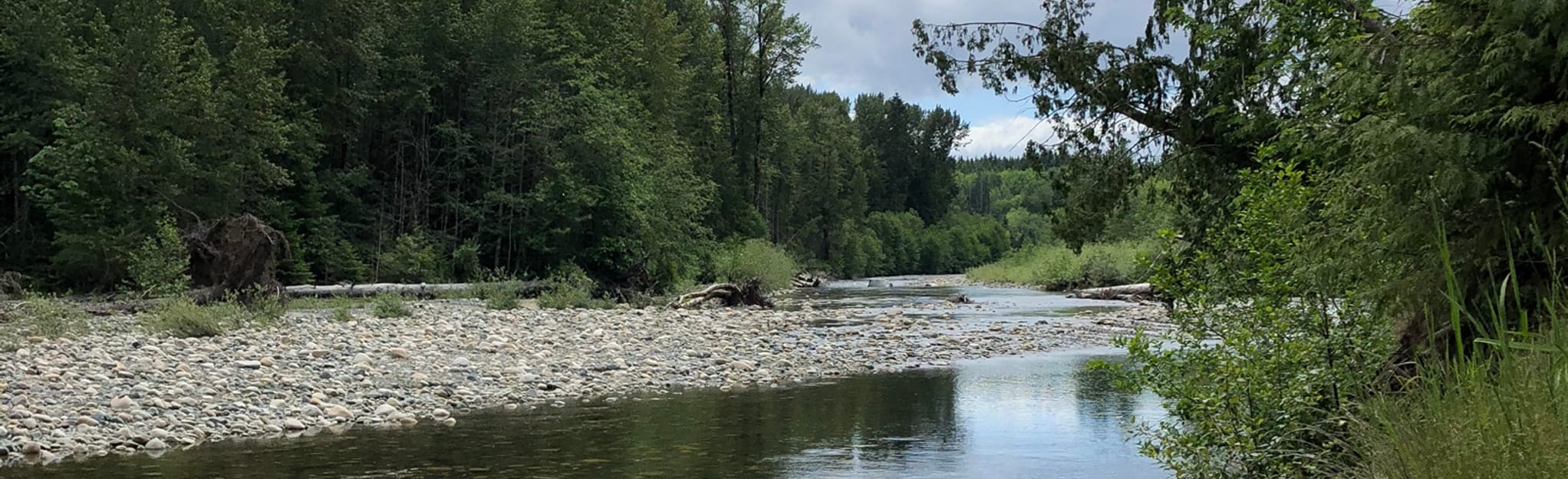 Englishman River Falls Provincial Park Trail: 758 Reviews, Map ...
