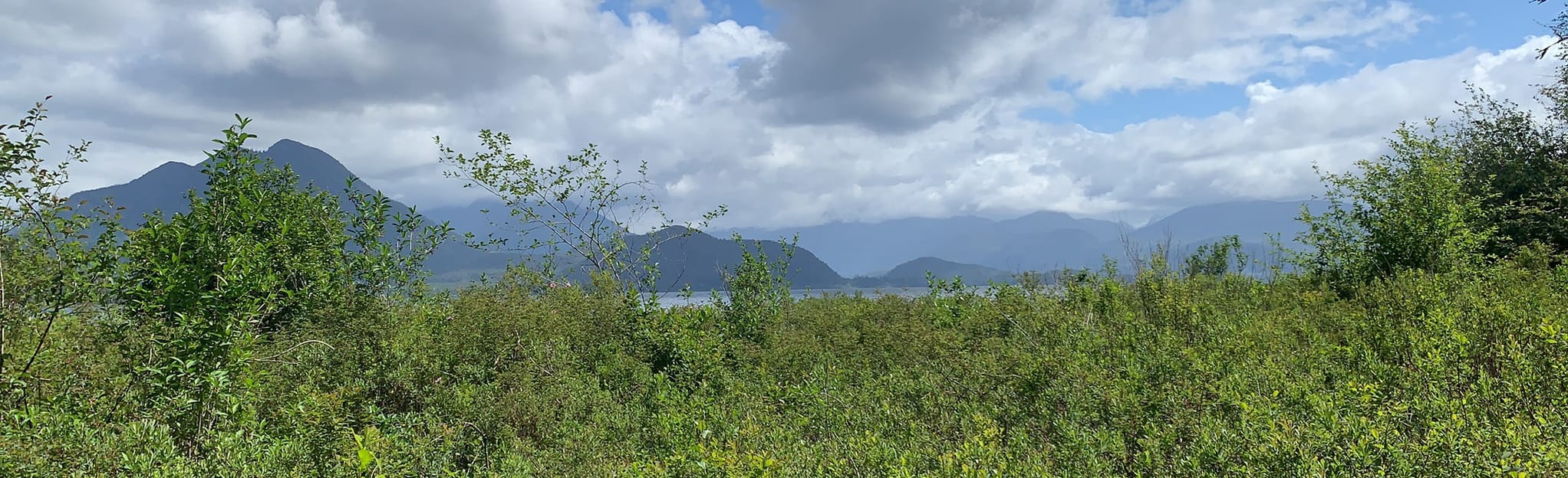 Kennedy Lake Beach Access: 5 Reviews, Map - British Columbia, Canada ...