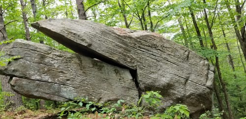 2023 Best Forest Trails in Wendell State Forest | AllTrails