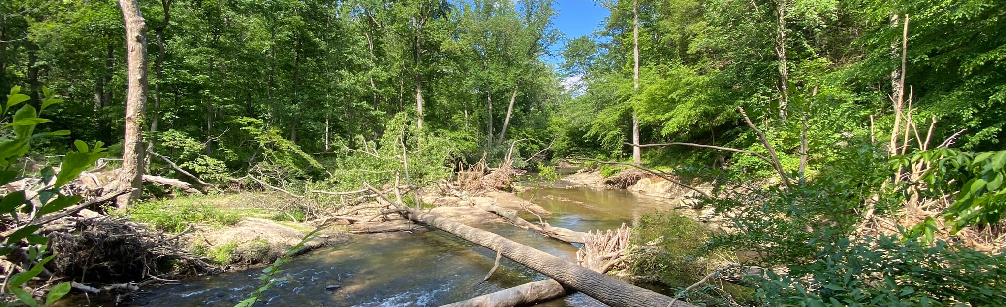 Gorman Stream Valley Trail: 261 Reviews, Map - Maryland | AllTrails
