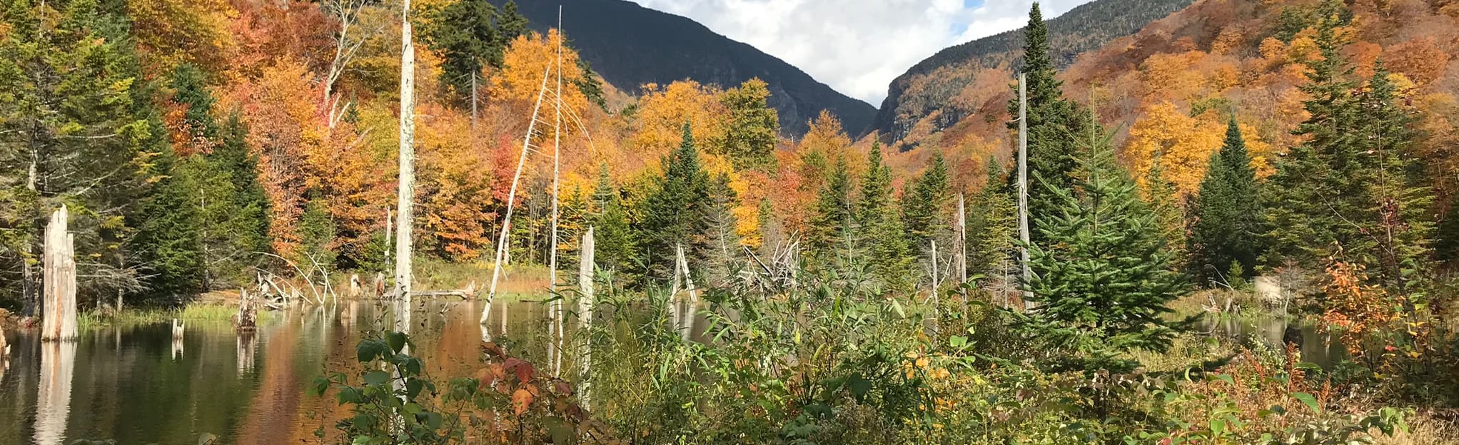 The Long Trail, Vermont - 175 Reviews, Map | AllTrails