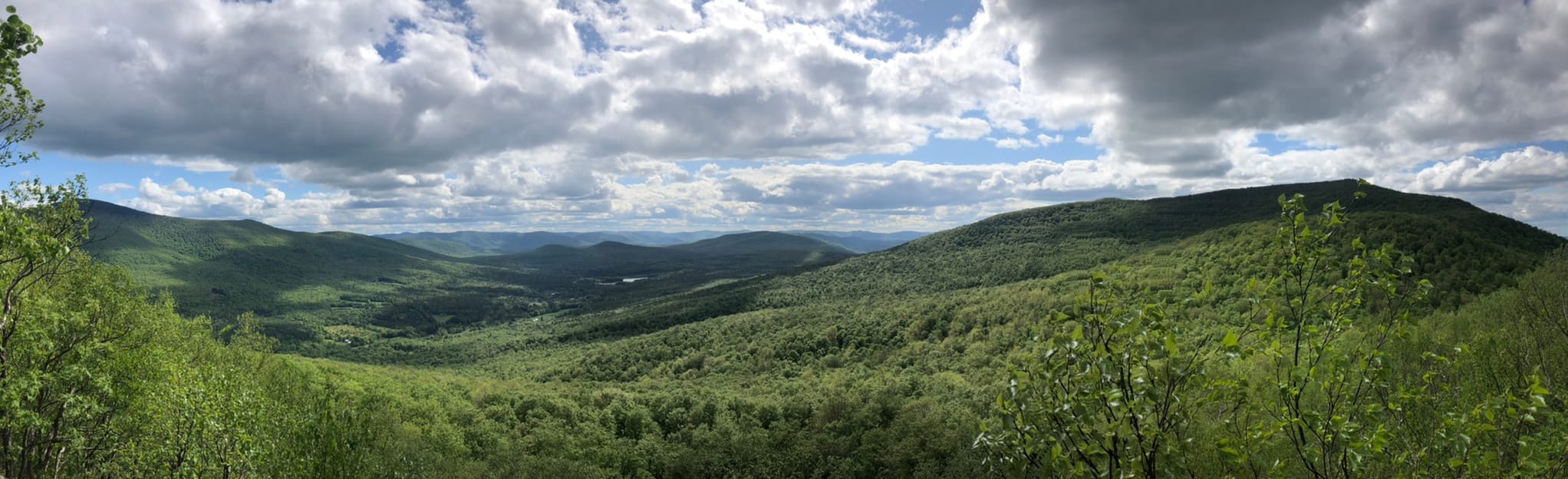 Elm Ridge, Escarpment and Black Dome Range Trail - New York | AllTrails