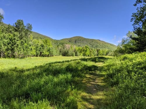 Best 10 Hikes and Trails in Mount Greylock State Reservation | AllTrails