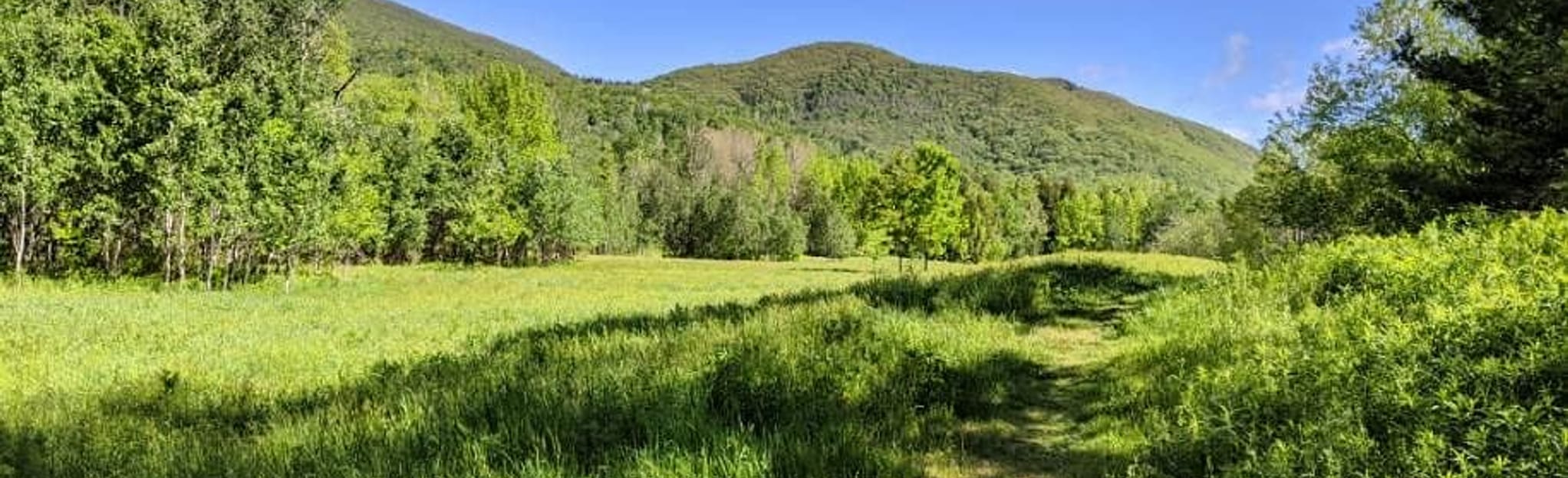 Mount Greylock via Bellows Pipe and Gould Trail, Massachusetts - 934 ...