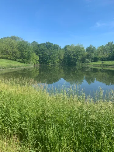 Best Hikes and Trails in Clinton Lake State Recreation Area | AllTrails