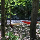 Conasauga River Trail, Georgia - 121 Reviews, Map | AllTrails