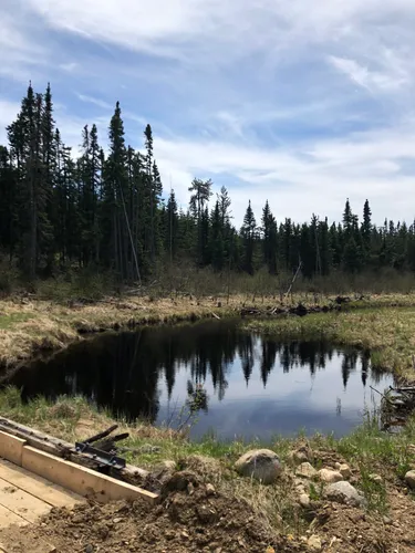 2023 Best 10 Long Trails in Porcupine Provincial Forest | AllTrails