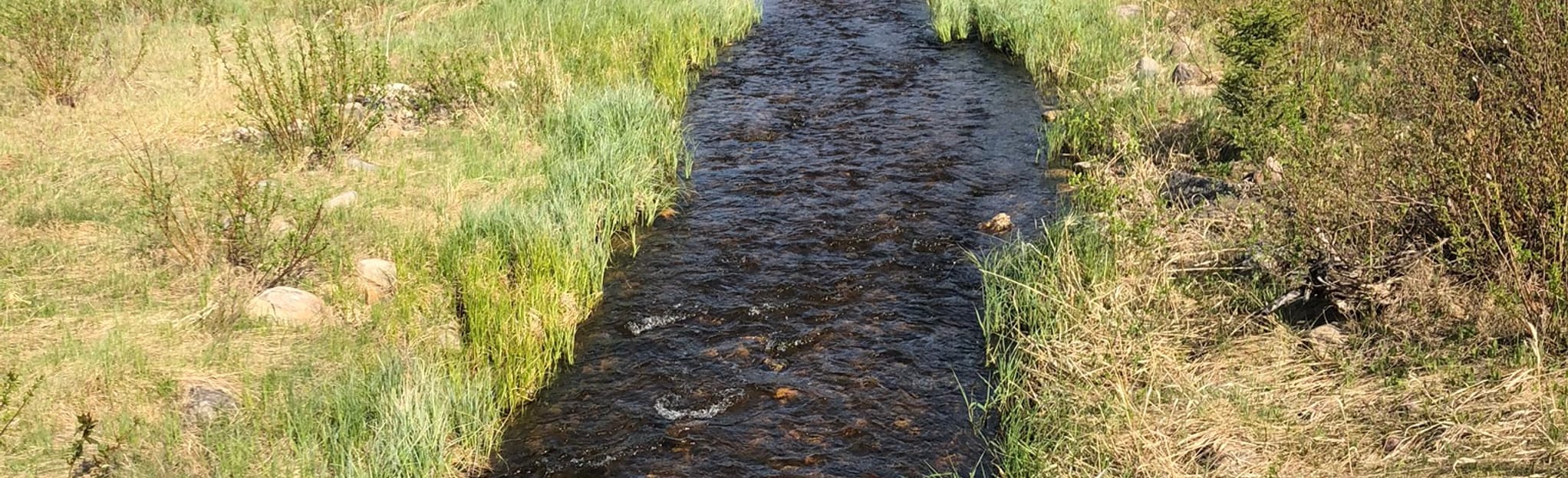 Spider Lake Trail , Manitoba, Canada - Map, Guide | AllTrails