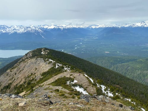 2023 Best 10 Wild Flowers Trails in Terrace | AllTrails