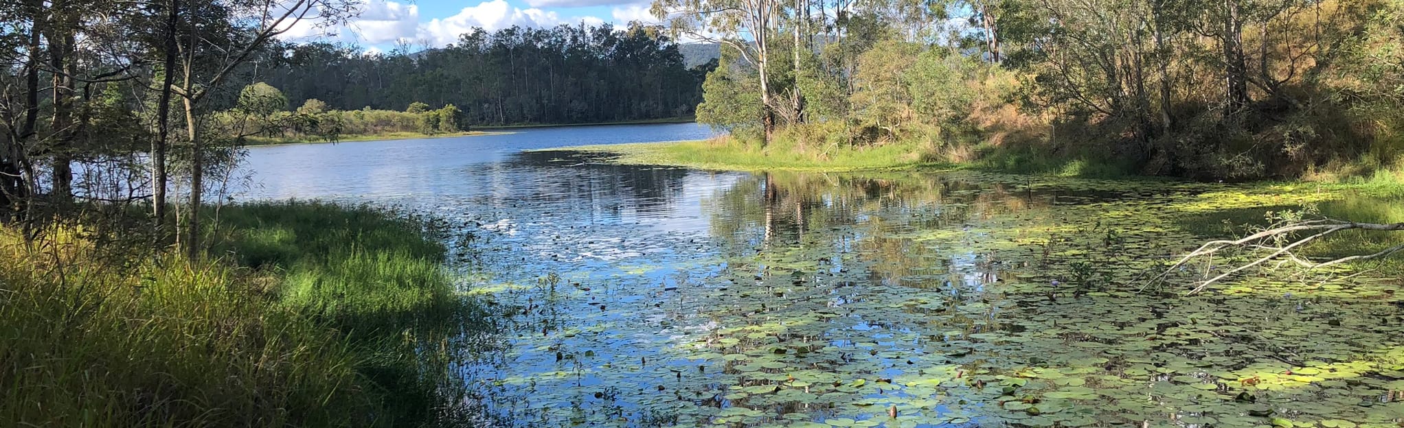 Moggill to Lake Manchester via Mermaid Mountain: 15 Reviews, Map ...