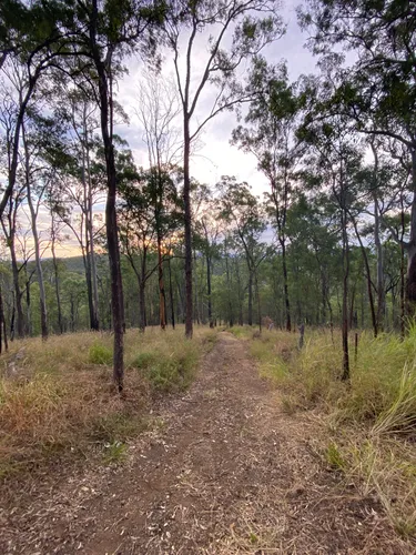 10 Best Hikes and Trails in Samford Conservation Park | AllTrails