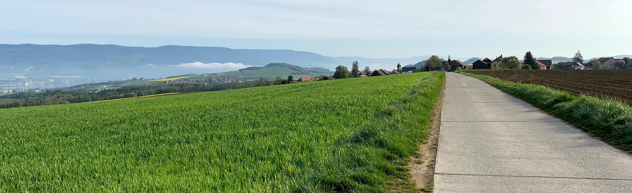 Pomy - Echallens - Suchy: 3 Photos - Vaud, Switzerland | AllTrails