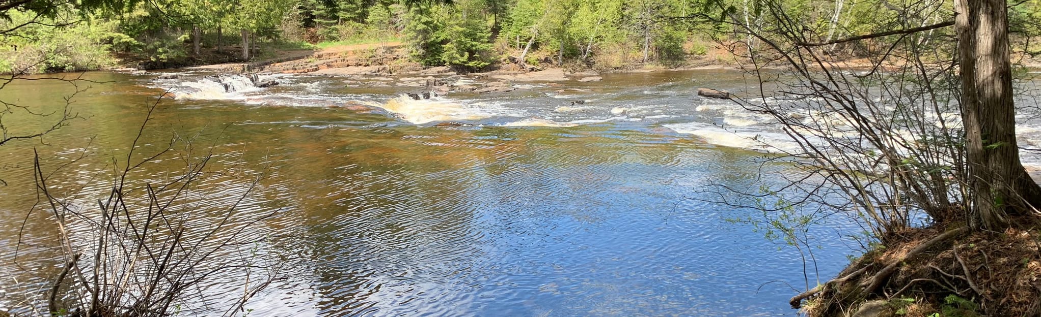 Trowbridge Falls Blue Trail Loop: 44 Reviews, Map - Ontario, Canada ...