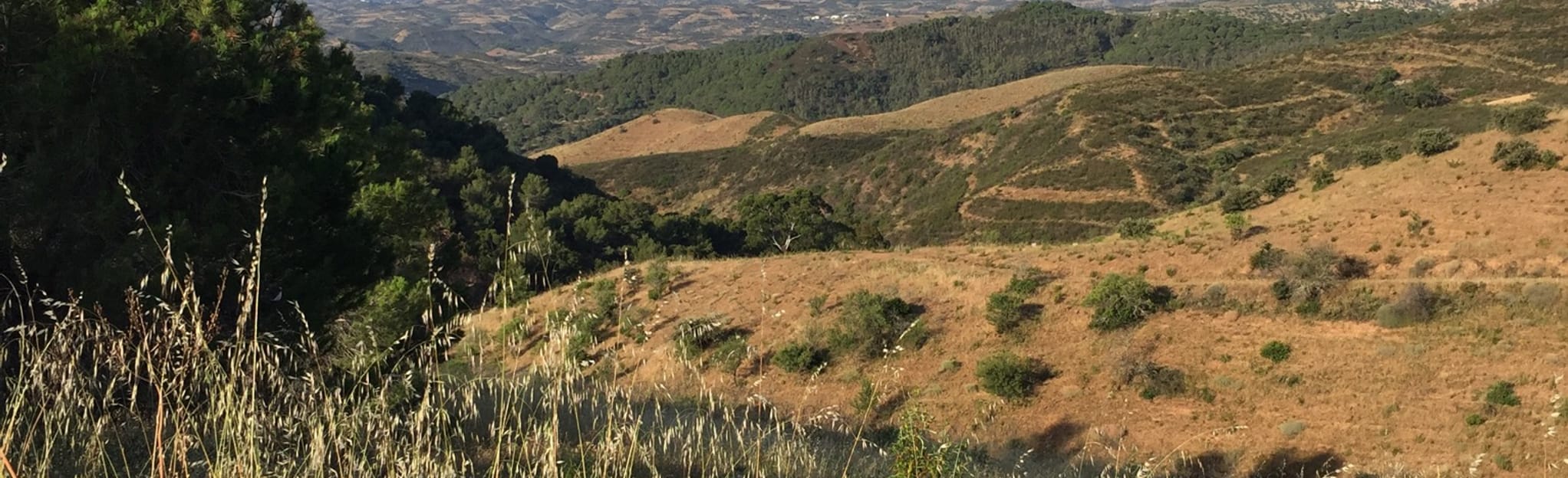 GR®13 Via Algarviana: Furnazinhas - Vaqueiros: 3 Reviews, Map - Faro ...