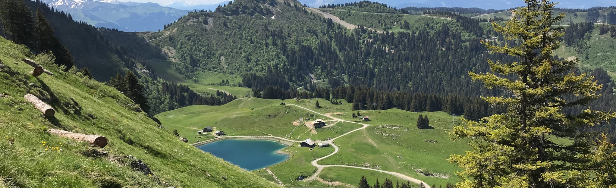 La Combe - Pointe de Nyon - Lake Nyon-Guérin: 267 foto's - Haute-Savoie ...