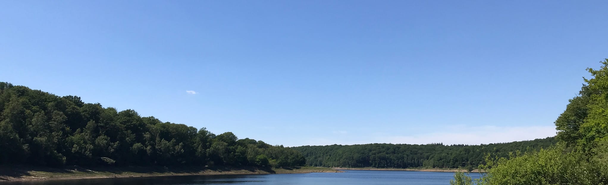 Gileppe lake: 334 foto - provincia di Liegi, Belgio | AllTrails