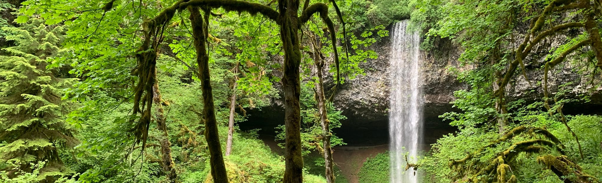 Shellburg Falls Trail [CLOSED]: 829 Reviews, Map - Oregon | AllTrails