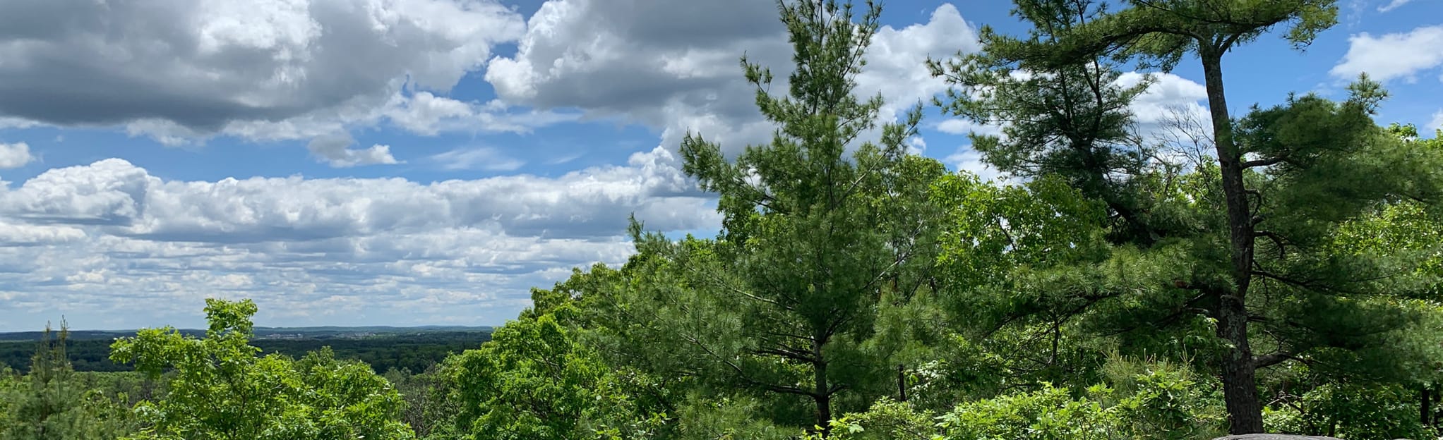 Tippling Rock and Fords Folly: 536 Reviews, Map - Massachusetts | AllTrails