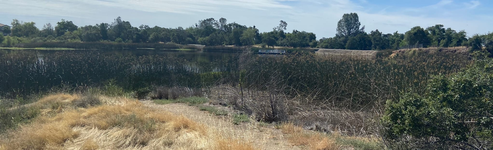 Willow Hills Loop: 23 foto's - Californië | AllTrails