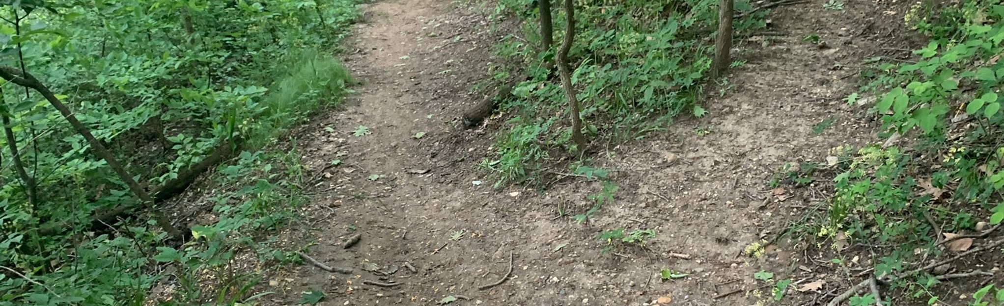 Hillside Trail Loop, Illinois - 37 Reviews, Map | AllTrails