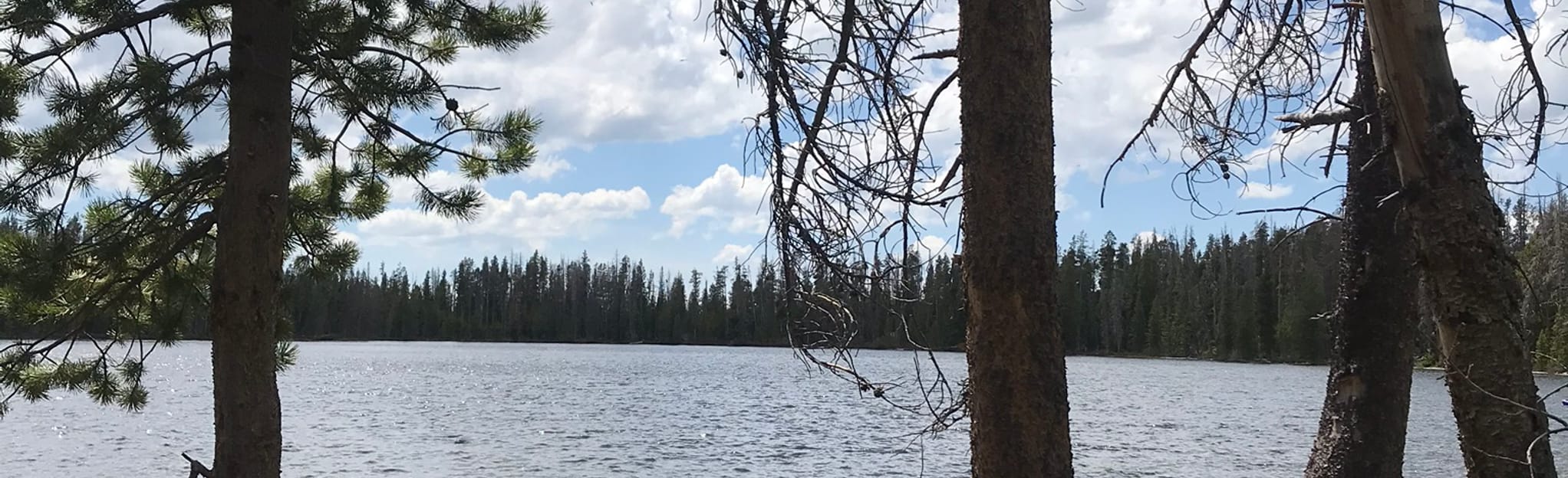 Alexander Lake, Utah - 14 Reviews, Map | AllTrails
