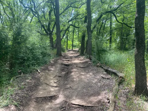 Best Hikes and Trails in Cedar Hill State Park | AllTrails