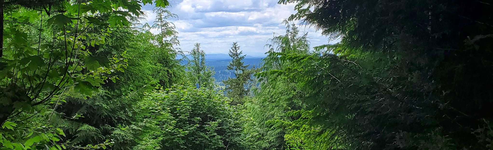Holder Ridge Trail, Washington - 711 Reviews, Map | AllTrails