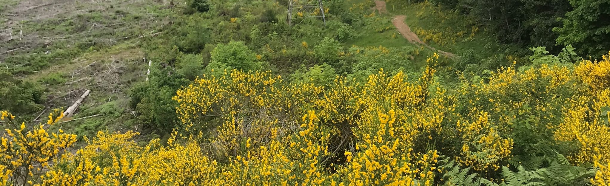 Lacy Lake via Power Line Trail: 27 Reviews, Map - British Columbia ...