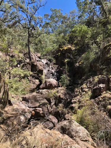 Best Walking Trails in Wombeyan Caves | AllTrails
