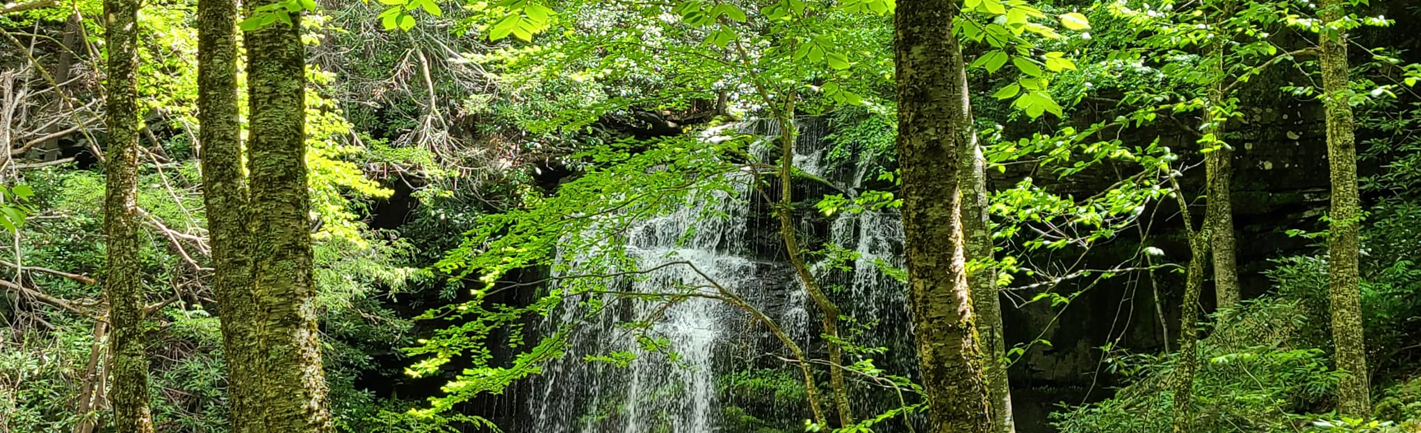 Blue Trail East to Mullet Falls Trail, New York - 757 Reviews, Map ...