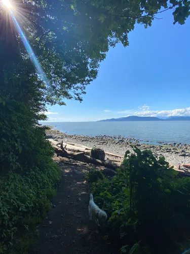 Best Beach Trails in Pacific Spirit Regional Park | AllTrails