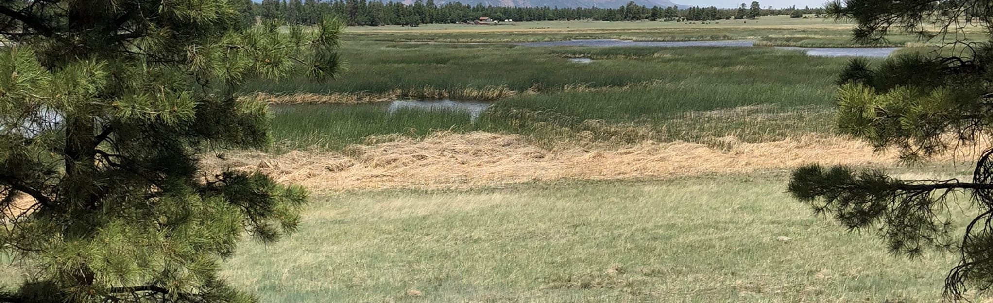 Marshall Lake: 41 Reviews, Map - Arizona | AllTrails