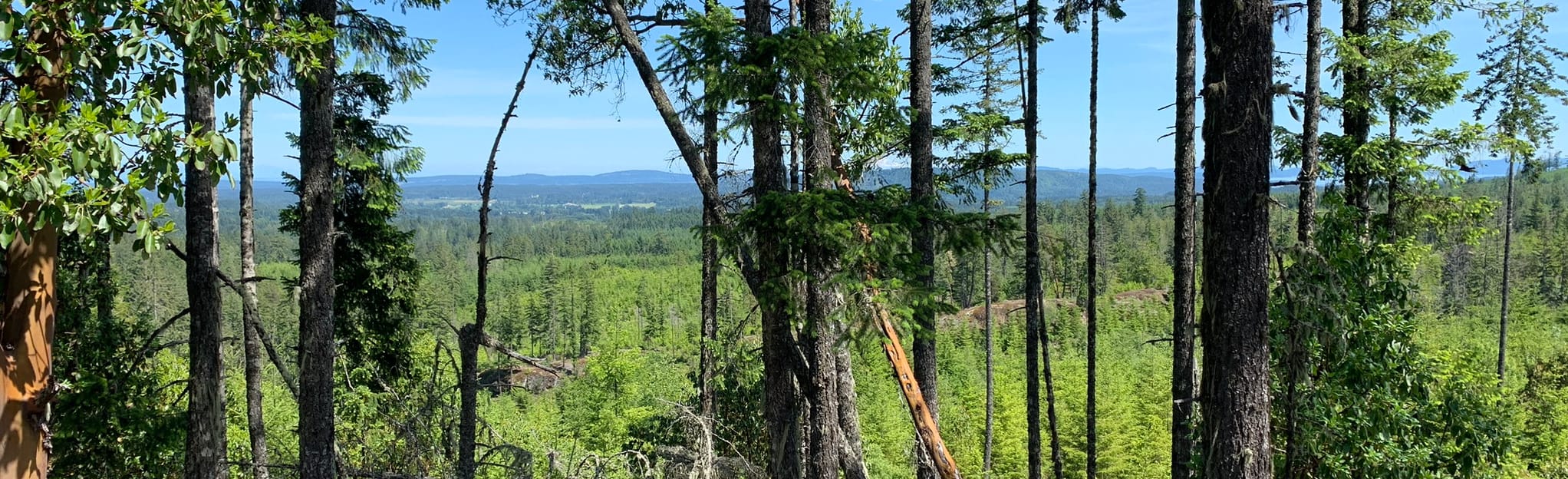 White Pine Trail: 144 Reviews, Map - British Columbia, Canada | AllTrails