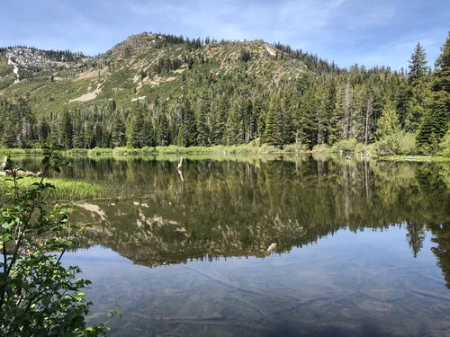 10 Best Trails and Hikes in Blairsden Graeagle | AllTrails