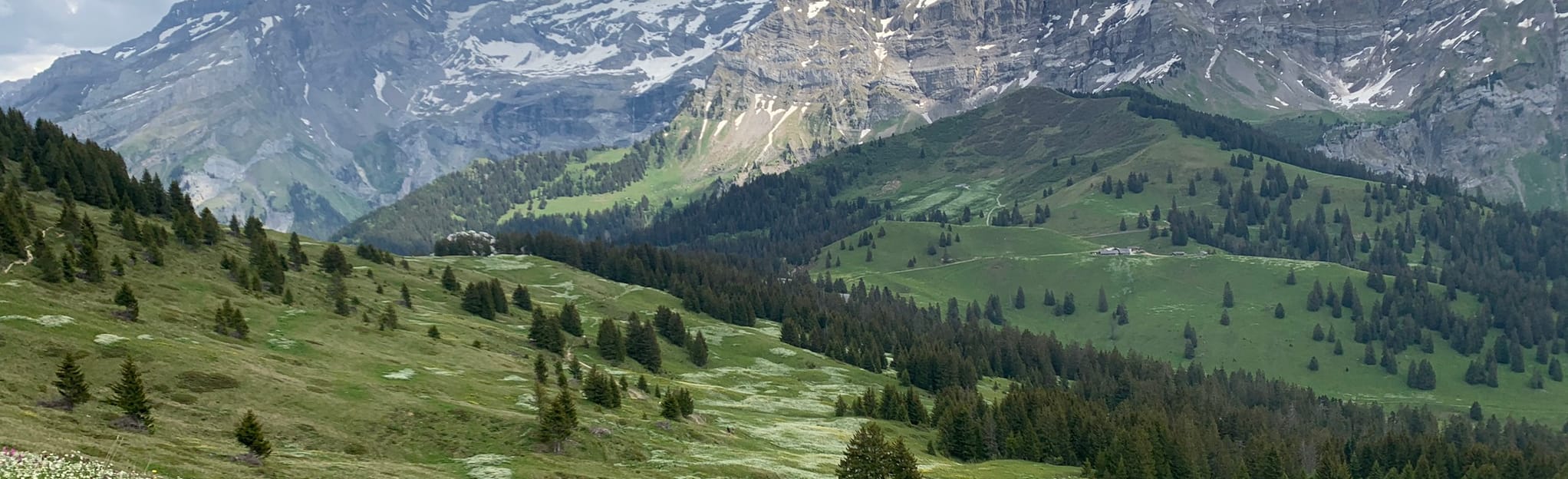 Col de la Croix - Lac de Bretaye: 105 foto's - Vaud, Zwitserland ...