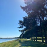 Thornton Reservoir and Bagworth Heath Woods Circular, Leicestershire ...