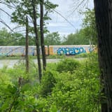 Barber Reservation Loop, Massachusetts - 141 Reviews, Map | AllTrails