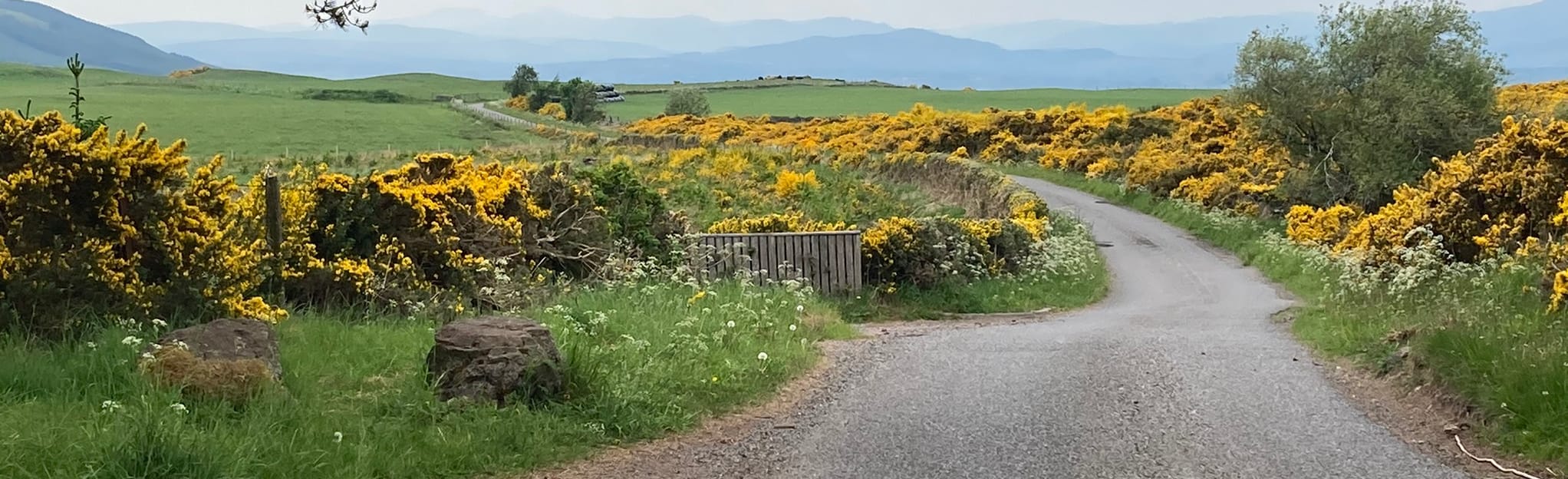 Dunning and Clevage Law Circular, Perth and Kinross, Scotland - 3 ...