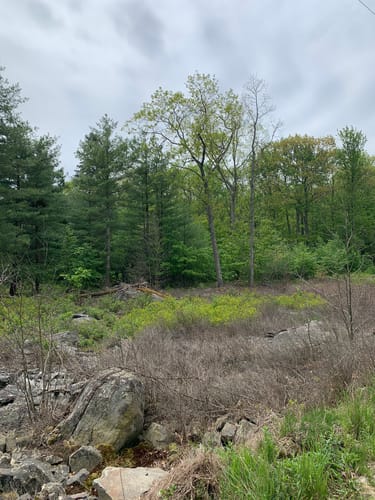 Best 10 Hikes and Trails in Delaware State Forest | AllTrails
